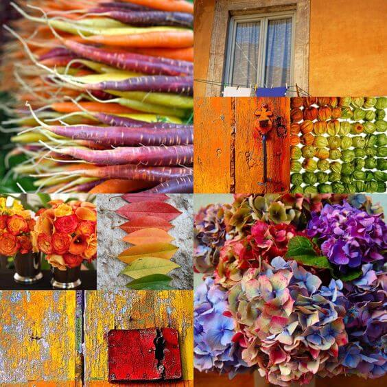 Rituel d'Automne! | Sandrine Rouillon