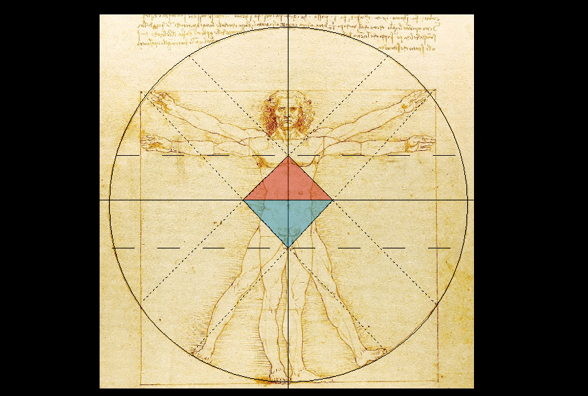 Leonard de Vinci et les triangles – Sandrine Rouillon